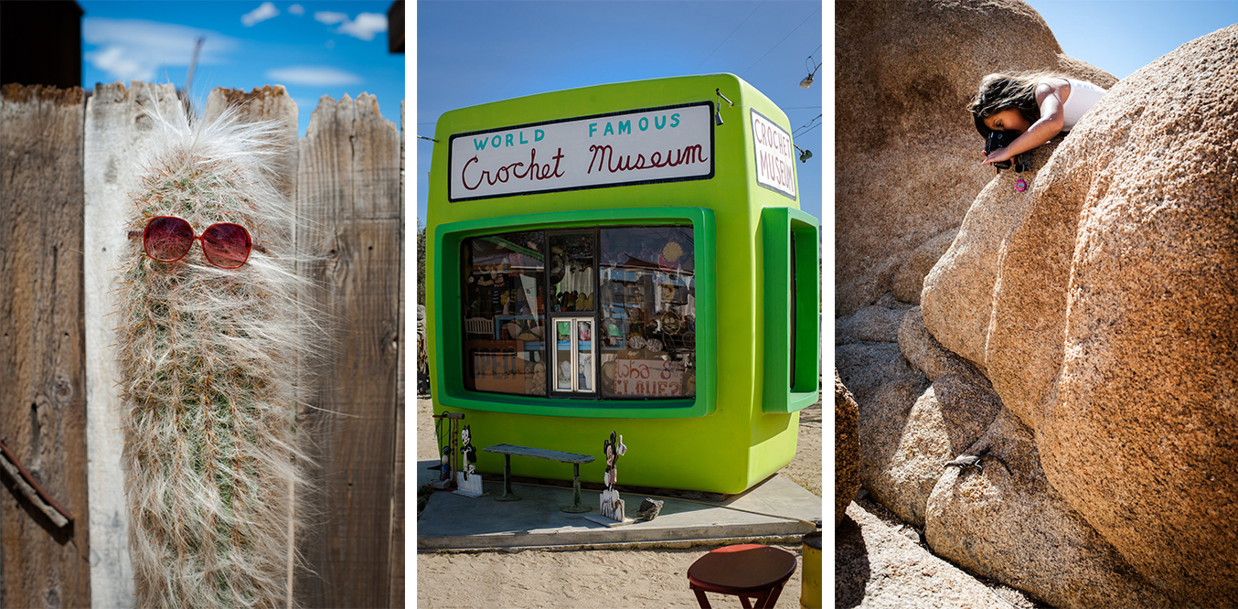 What To Do in Joshua Tree With Kids