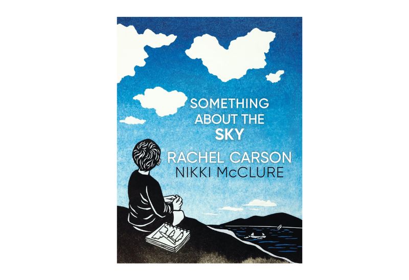 Something About the Sky - Nikki McClure